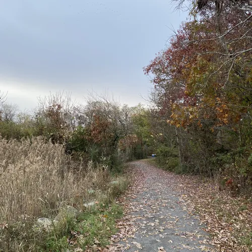 Best Hikes and Trails in Watson Park | AllTrails