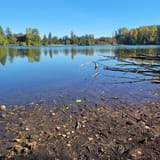 Waughop Lake Loop , Washington - 698 Reviews, Map | AllTrails