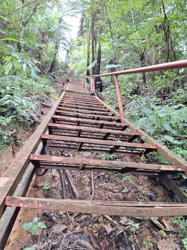 Best Hikes and Trails in Mount Kitanglad Range Natural Park | AllTrails