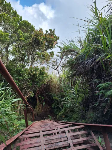 Best Hikes and Trails in Mount Kitanglad Range Natural Park | AllTrails