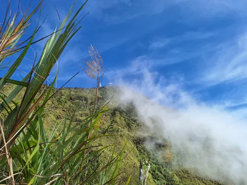 Best Hikes and Trails in Mount Kitanglad Range Natural Park | AllTrails