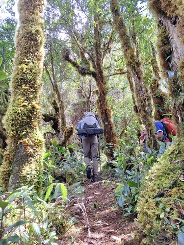 Best Hikes and Trails in Mount Kitanglad Range Natural Park | AllTrails