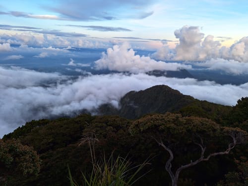 Best Hikes and Trails in Mount Kitanglad Range Natural Park | AllTrails