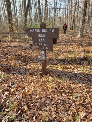 Best Hikes and Trails in Cross Fork | AllTrails