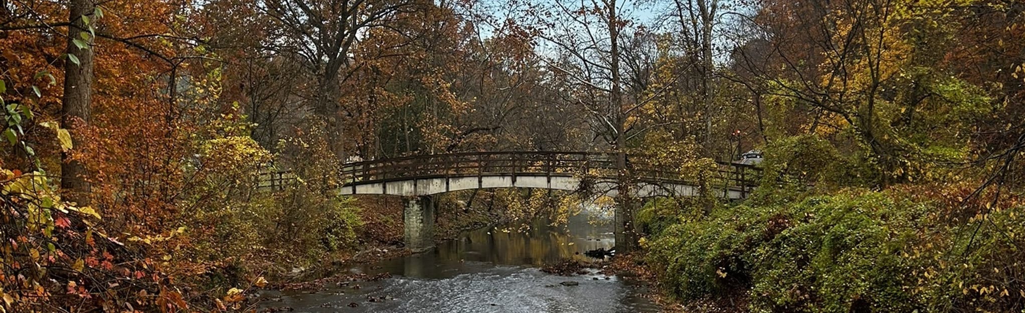 Western Ridge Trail, District of Columbia - 255 Reviews, Map | AllTrails