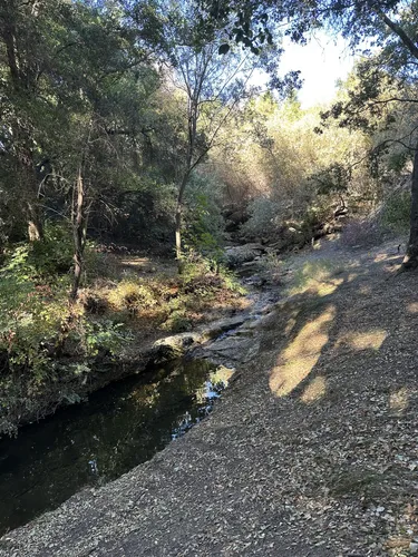 Best Hikes and Trails in Conejo Valley Botanic Garden | AllTrails