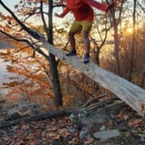 Hawk Rock Loop, Pennsylvania - 1,251 Reviews, Map | AllTrails