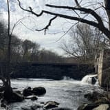 Yantic Falls, Connecticut - 181 Reviews, Map | AllTrails