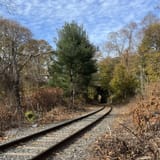 Yantic Falls, Connecticut - 181 Reviews, Map | AllTrails