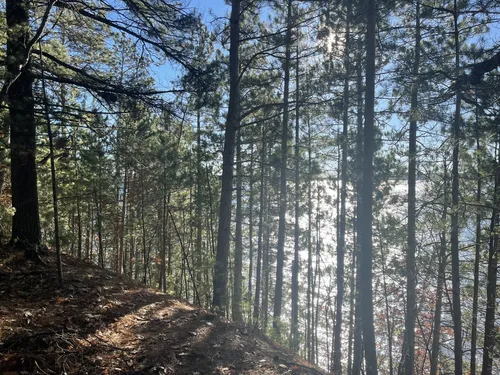 Best Walking Trails in Boulder Junction | AllTrails