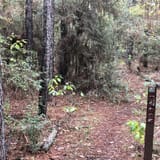 Four Notch Loop Trail, Texas - 393 Reviews, Map | AllTrails