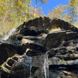 Yellow Branch Falls Trail, South Carolina - 2,483 Reviews, Map | AllTrails