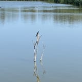 Bibra Lake Loop, Western Australia, Australia - 423 Reviews, Map ...