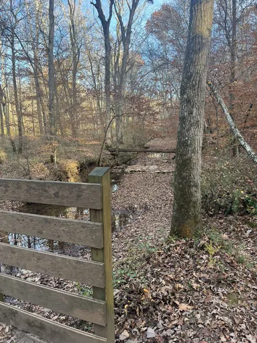 Best Trail Running Trails in Rotary Park | AllTrails