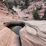 Many Pools Trail, Utah - 1,267 Reviews, Map | AllTrails