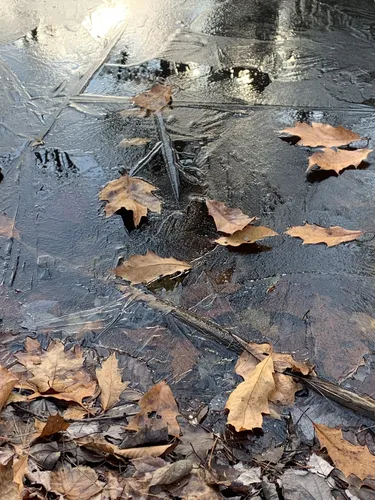 Best Hikes and Trails in Limington, Hollis, Waterboro Sanctuary | AllTrails