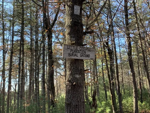 Best Hikes and Trails in Limington, Hollis, Waterboro Sanctuary | AllTrails