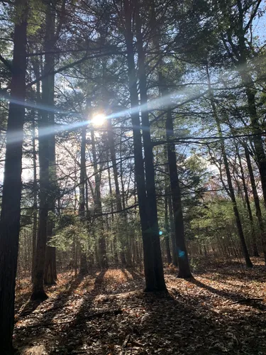 Best Hikes and Trails in Limington, Hollis, Waterboro Sanctuary | AllTrails
