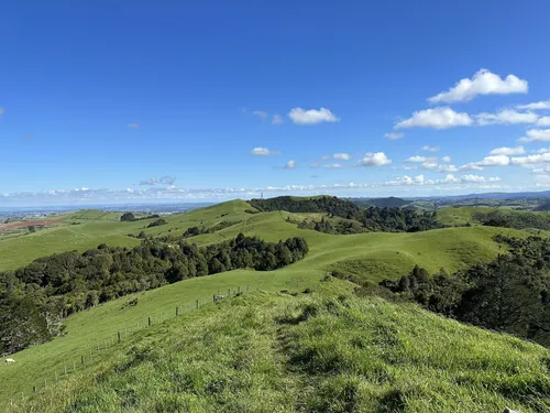 10 Best Walking Trails in Pokeno | AllTrails