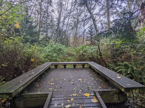 Best Hikes and Trails in Hansville Greenway | AllTrails