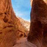 Wire Pass Trail, Utah - 2,681 Reviews, Map | AllTrails