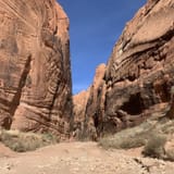 Wire Pass Trail, Utah - 2,681 Reviews, Map | AllTrails
