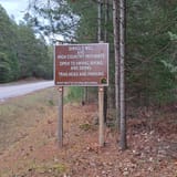 Shingle Mill Pathway, Michigan - 255 Reviews, Map | AllTrails