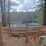 Shingle Mill Pathway, Michigan - 255 Reviews, Map | AllTrails