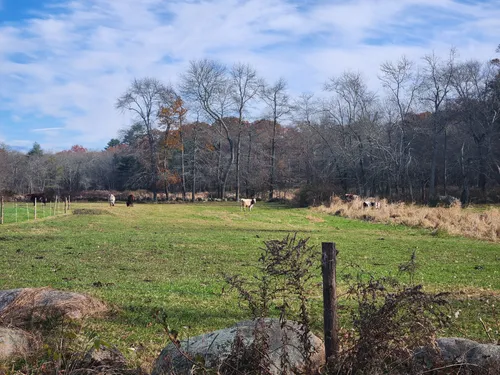 2023 Best Forest Trails in Wood River Junction | AllTrails