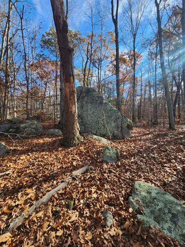 2023 Best Forest Trails in Wood River Junction | AllTrails