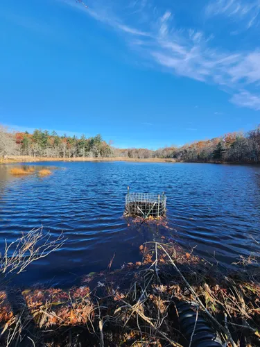 2023 Best Forest Trails in Wood River Junction | AllTrails