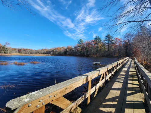 2023 Best Forest Trails in Wood River Junction | AllTrails