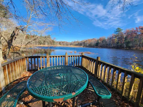2023 Best Forest Trails in Wood River Junction | AllTrails