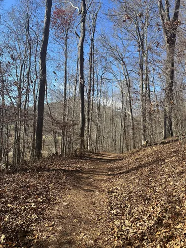 Best Partially Paved Trails in Boone | AllTrails