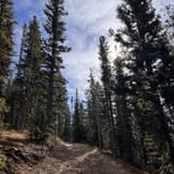 Silver Mountain, Colorado - 156 Reviews, Map | AllTrails