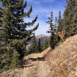 Silver Mountain, Colorado - 156 Reviews, Map | AllTrails