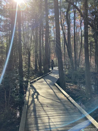 Best Hikes and Trails in Manchester Cedar Swamp Preserve | AllTrails