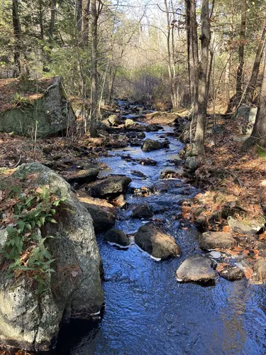 Best Hikes and Trails in Manchester Cedar Swamp Preserve | AllTrails