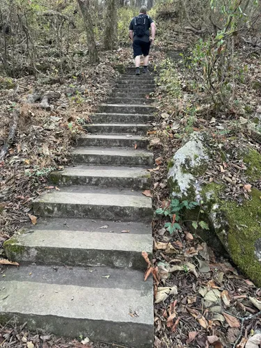 Best Hikes and Trails in Muscle Shoals | AllTrails
