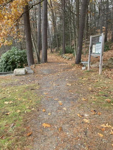 Robin Hood Forest: de beste routes om te wandelen | AllTrails