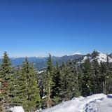 Iron Mountain Trail, Oregon - 526 Reviews, Map | AllTrails