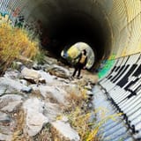 Bear Wallow Spring, Arizona - 394 Reviews, Map | AllTrails