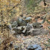 Bear Wallow Spring, Arizona - 394 Reviews, Map | AllTrails