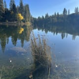 Lake Tabeaud Loop, California - 904 Reviews, Map | AllTrails