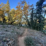 Lake Tabeaud Loop, California - 904 Reviews, Map | AllTrails