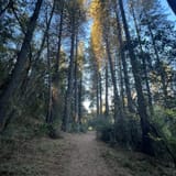Lake Tabeaud Loop, California - 904 Reviews, Map | AllTrails