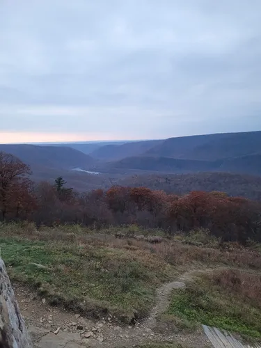 Best Hikes and Trails in Hyner View State Park | AllTrails
