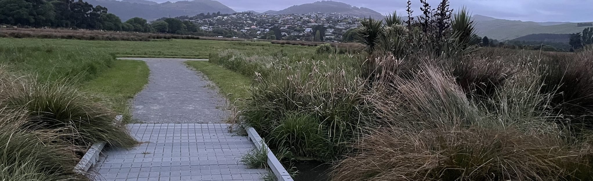 Sparks Road Wetland Loop, Canterbury, New Zealand - 19 Reviews, Map ...