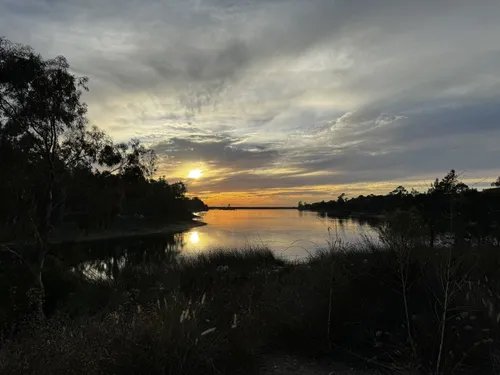 Best Hikes and Trails in Lake Miramar | AllTrails