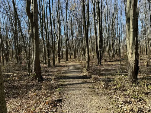 Best Hikes and Trails in Sandusky Hollow Nature Preserve | AllTrails